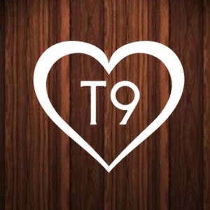 Trisomy 9 Decal, T9, Trisomy 9 Awareness - Etsy