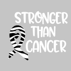 Zebra Awareness Ribbon Decal Awareness Decal, Rare Disease Awareness ...