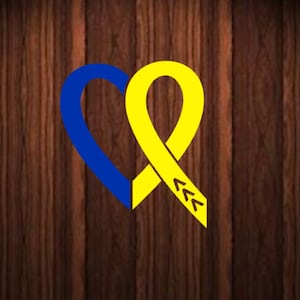 Down Syndrome Awareness, T21, Trisomy 21 Car Decal, Love Doesn't Count ...