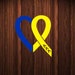 Down Syndrome Awareness, T21, Trisomy 21 Car Decal, Love Doesn't Count ...
