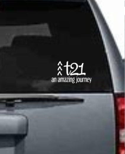 Down Syndrome Awareness, T21, Trisomy 21 Car Decal, Love Doesn't Count ...