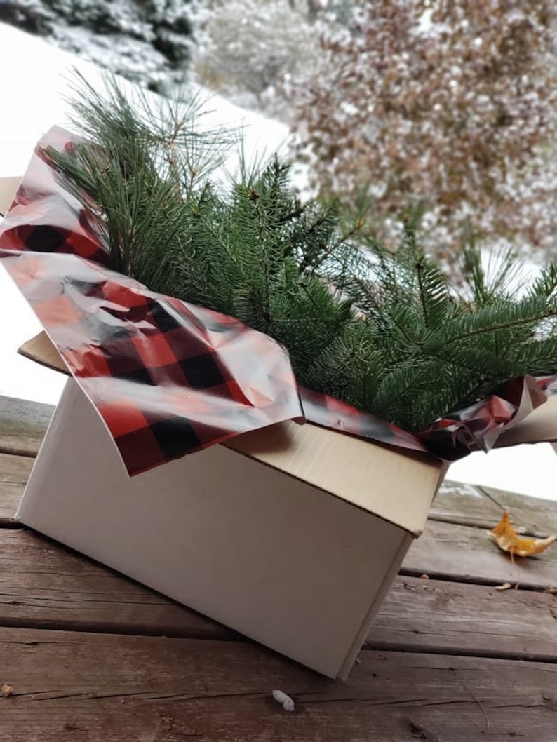 Fresh Cut Holiday Evergreens-seasons Greetings in a Box! Christmas ...