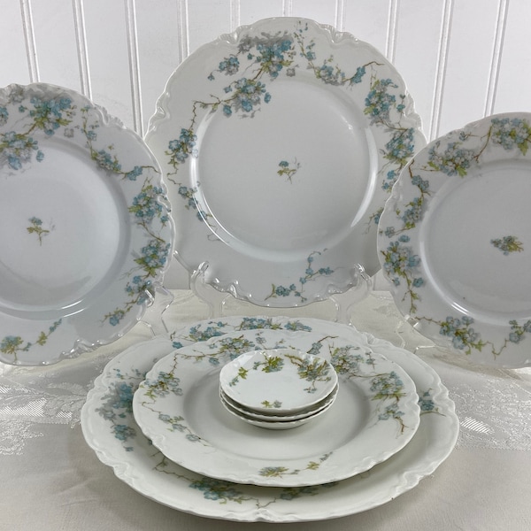 Limoges Haviland China Patterns. Antique - Etsy