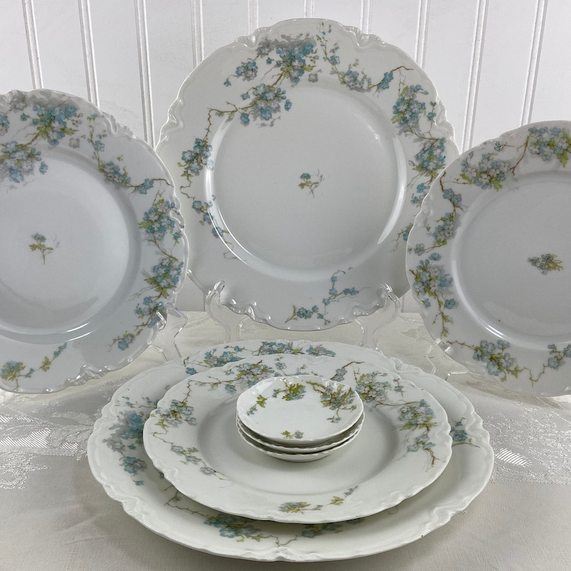 Limoges Haviland - Etsy