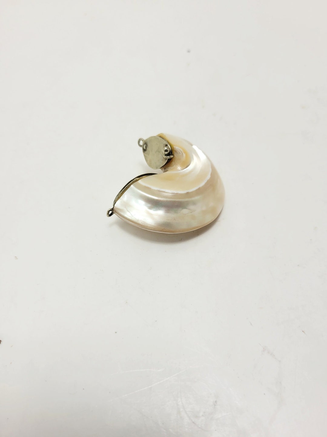 Beautiful Shell Pill or Snuff Pendant - Etsy