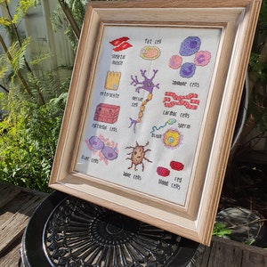Human Biology Cells Cross Stitch Pattern Digital Download, Science ...