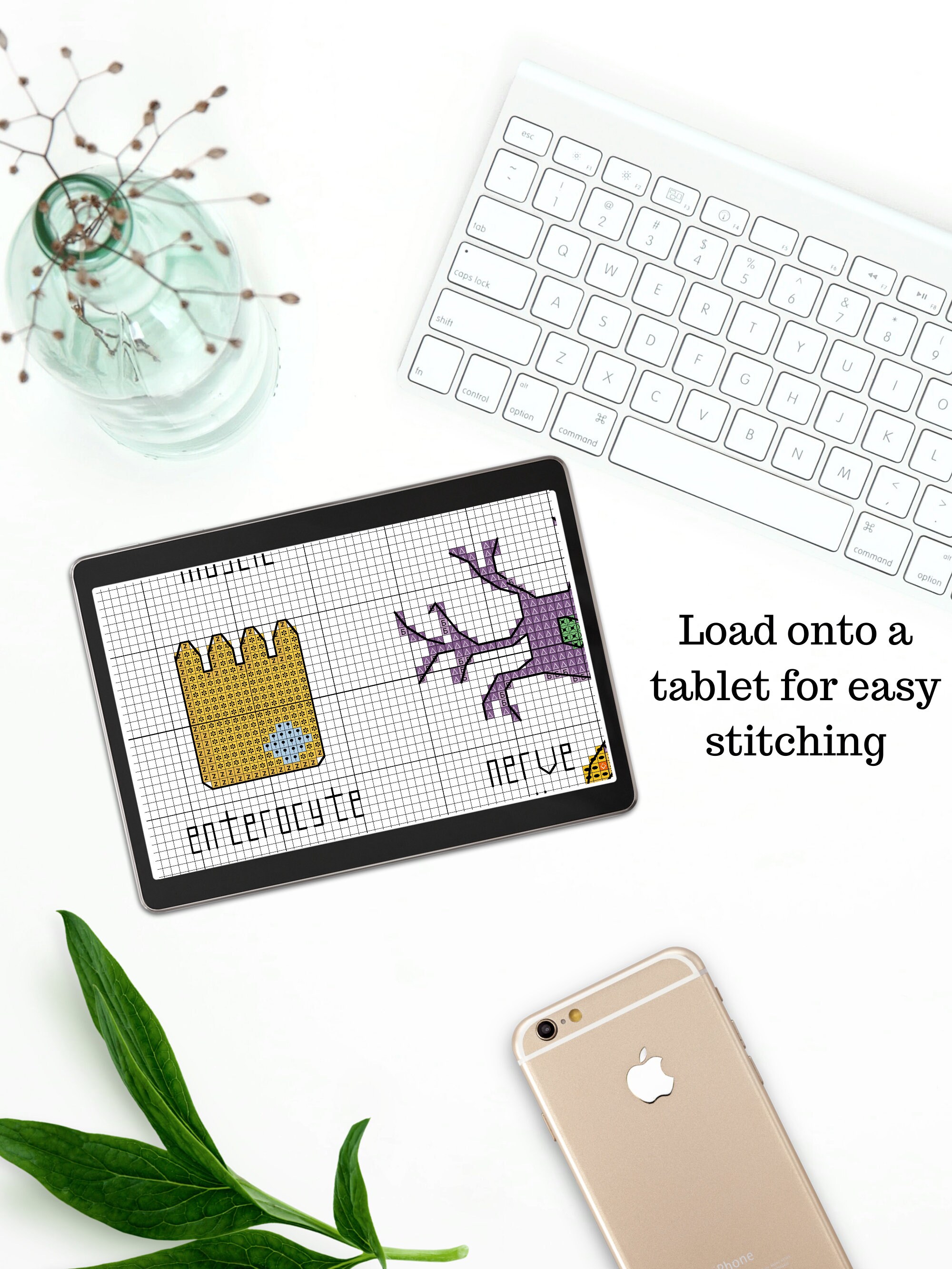 Human Biology Cells Cross Stitch Pattern Digital Download - Etsy