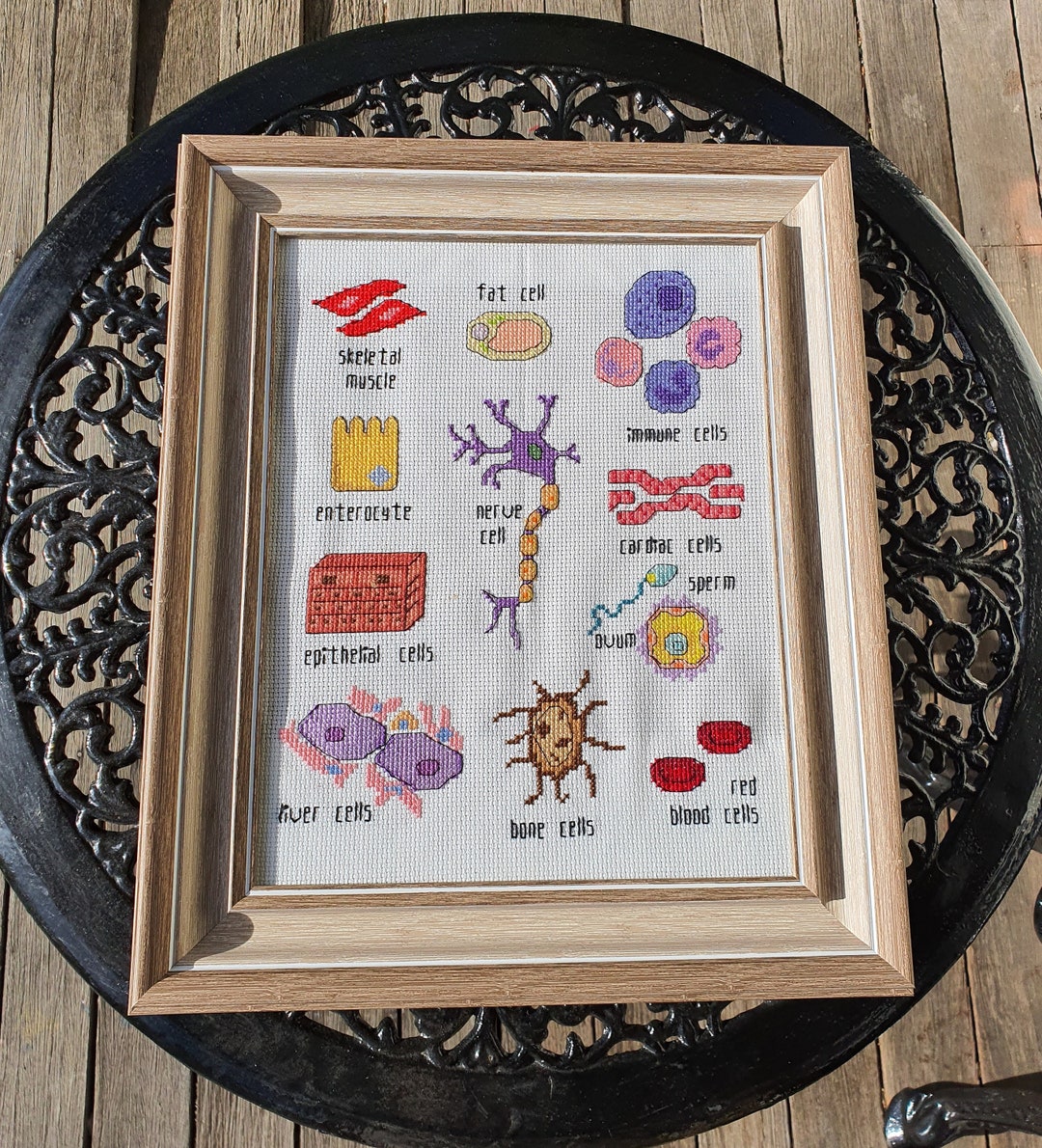 Human Biology Cells Cross Stitch Pattern Digital Download, Science ...
