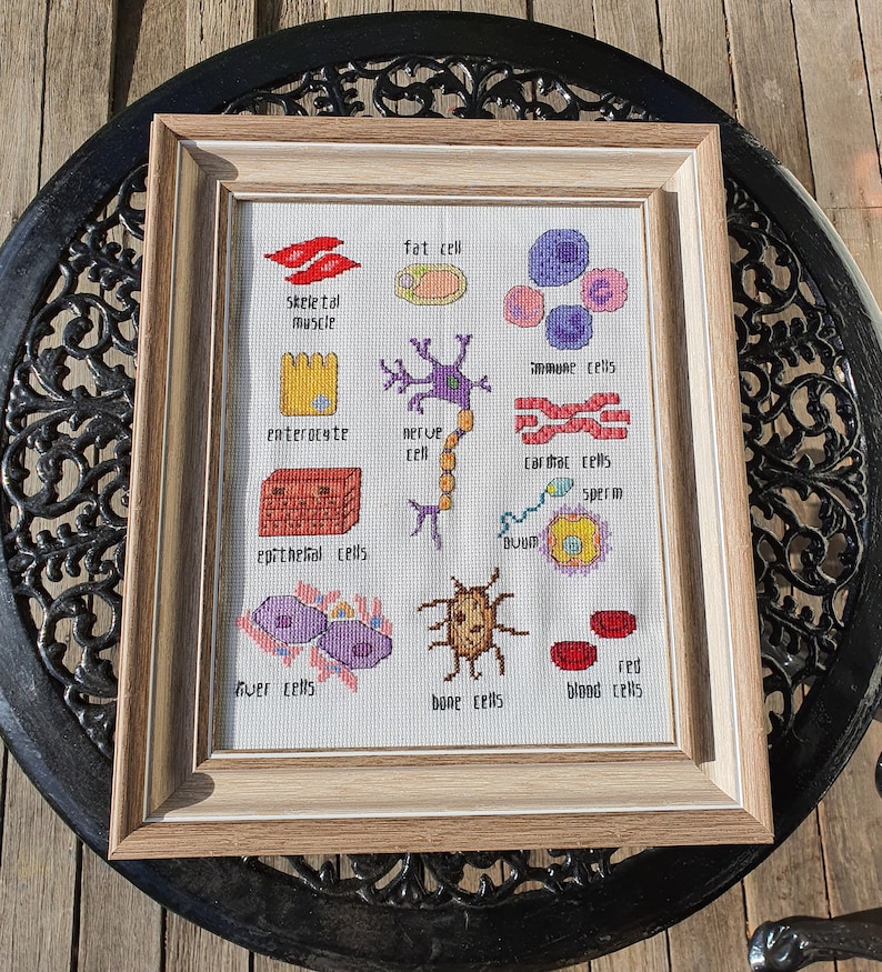 Human Biology Cells Cross Stitch Pattern, Science Nerdy Geeky (digital ...