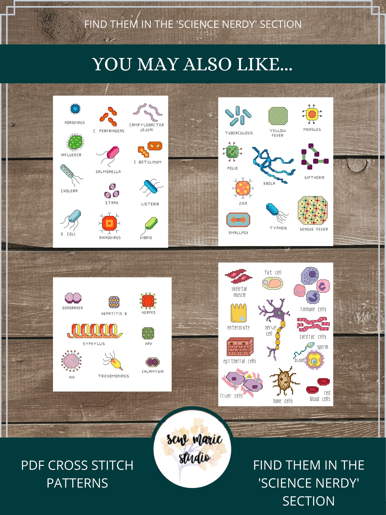 Microbiology Sampler Cross Stitch Pattern, Science Germs (PDF Download ...