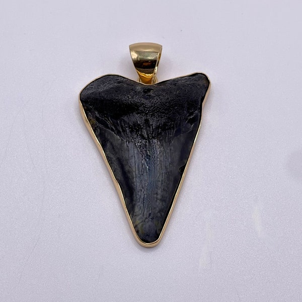 Shark Tooth Pendant - Etsy