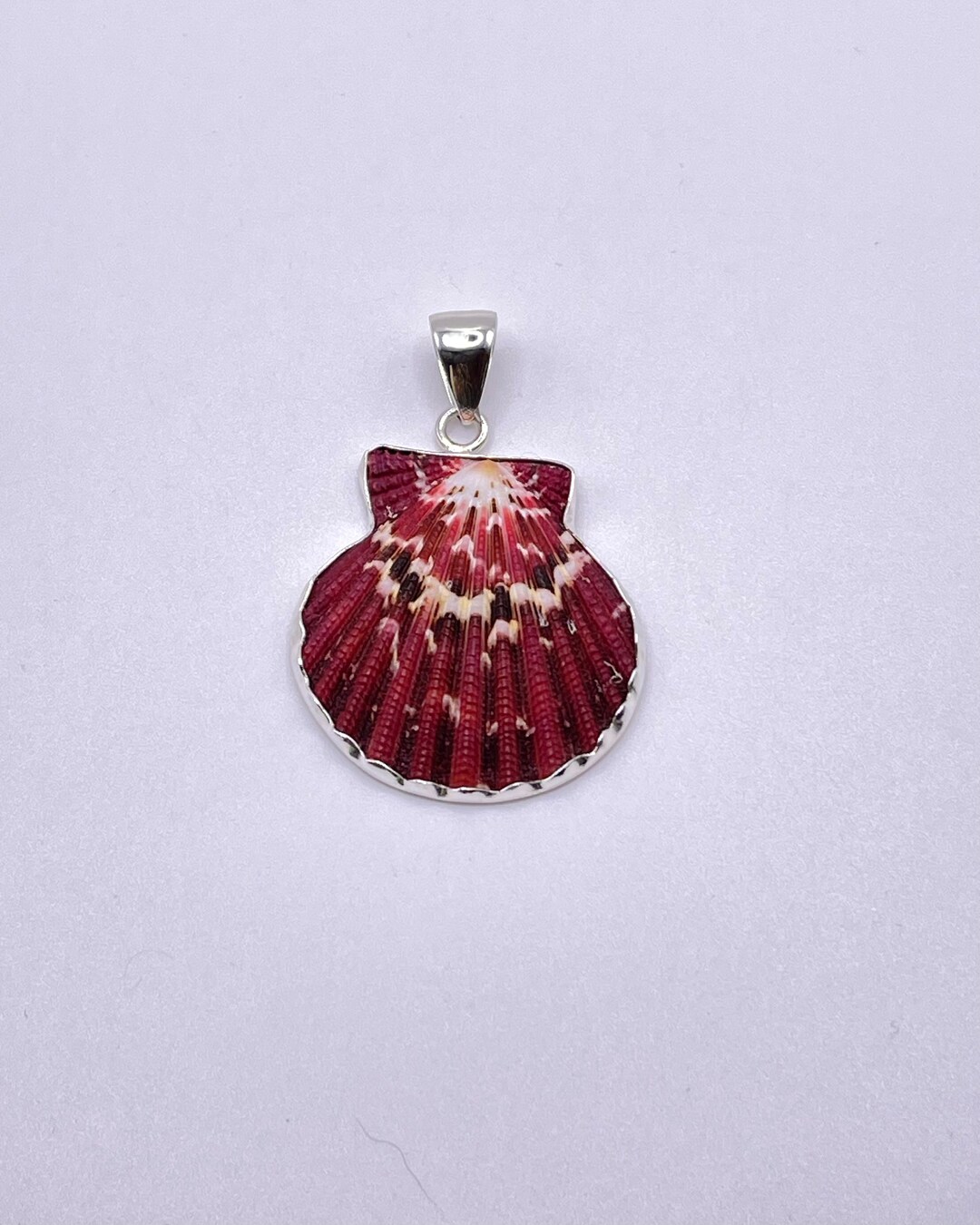 Charles Albert Natural Pectin Shell Pendant Bezel Set in Fine Sterling ...