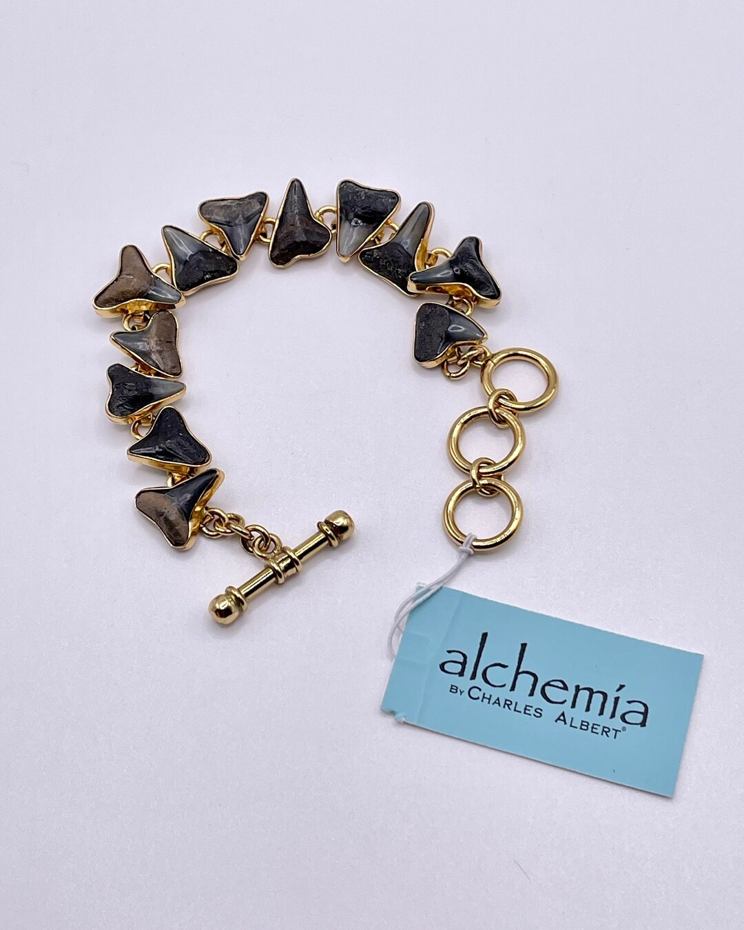 RESERVED for Kai R: Charles Albert Natural Fossil Twelve Small Shark ...