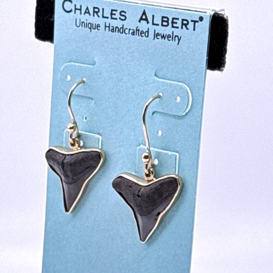 Charles Albert Shark Tooth Natural Fossil Earrings Bezel Set in Their ...