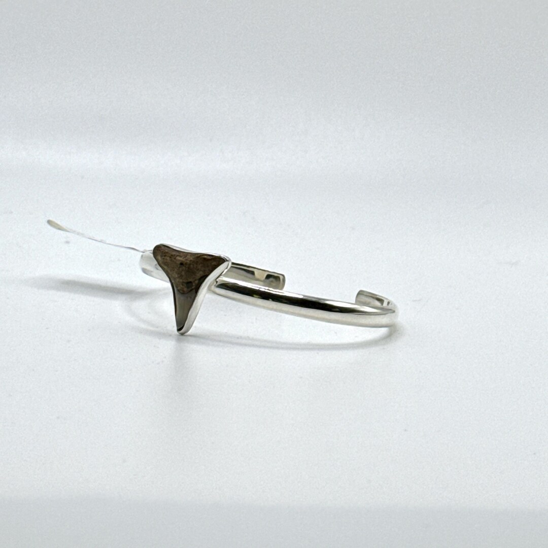 Charles Albert Mini Shark Tooth Fossil Cuff Bracelet Bezel Set in Fine ...