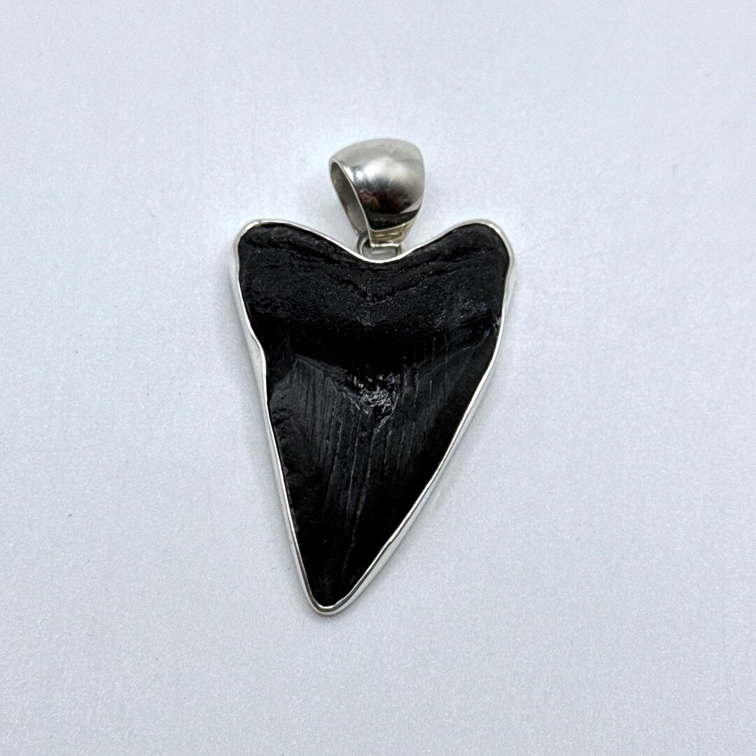 Charles Albert Natural Shark Tooth Fossil Pendant Bezel Set in Fine ...