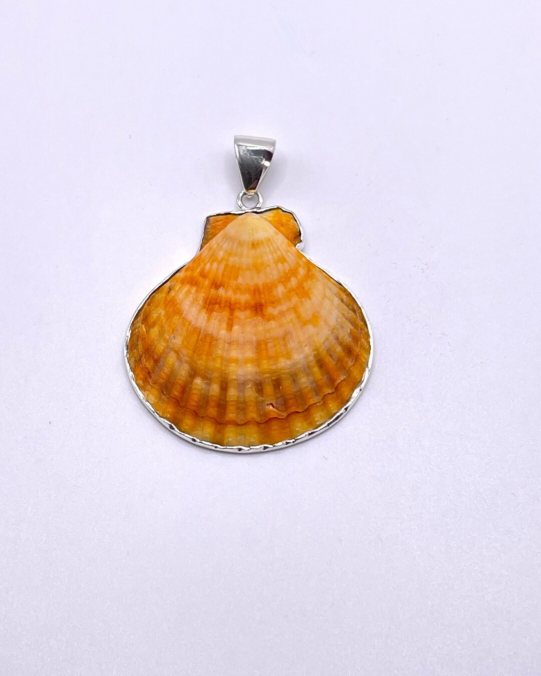 Charles Albert Natural Pectin Shell Large Pendant Bezel Set in Fine ...