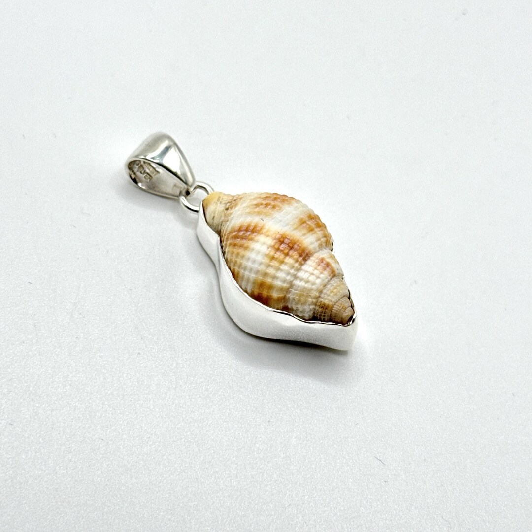 Charles Albert Natural Tulip Shell Pendant Bezel Set in Fine Sterling ...