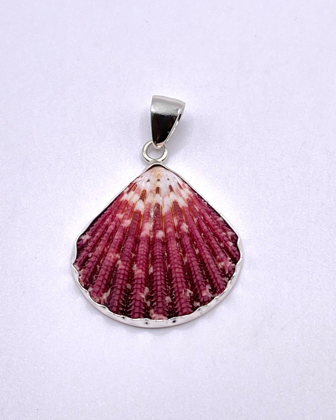 Charles Albert Natural Pectin Shell Pendant Bezel Set in Fine Sterling ...