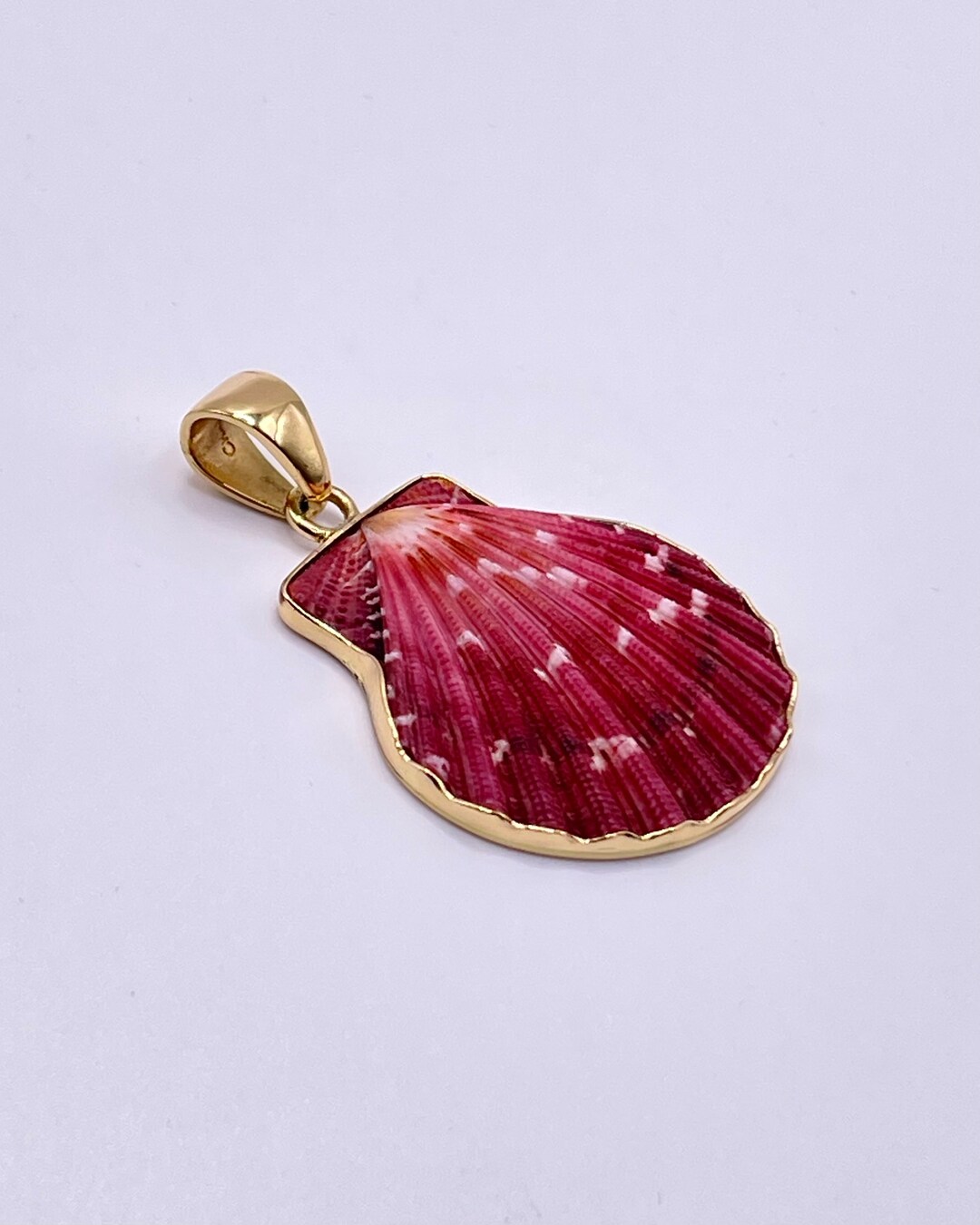Charles Albert Natural Pectin Shell Pendant Bezel Set in Their ...