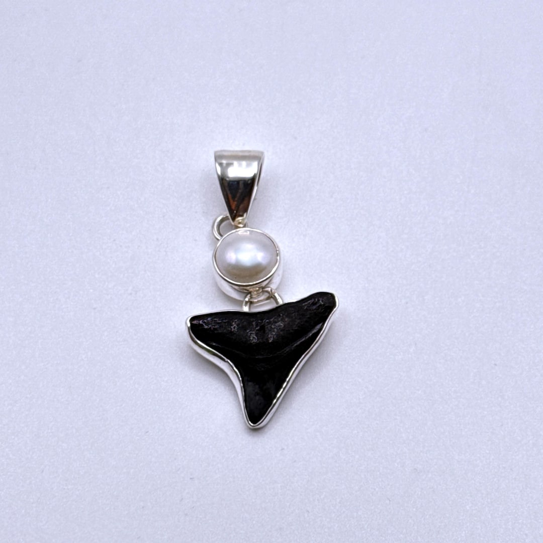 Charles Albert Natural Shark Tooth Pendant With a Round White Pearl ...