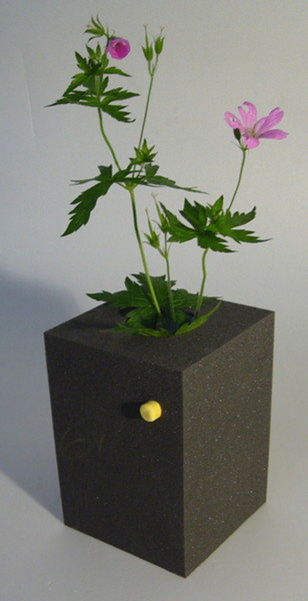 Cube-memo Vase Sticky Notes - Etsy