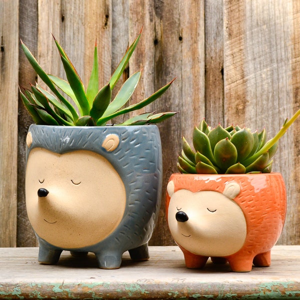Ceramic Hedgehog - Etsy