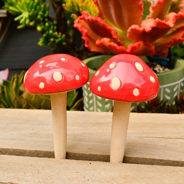 Toadstool - Etsy Australia