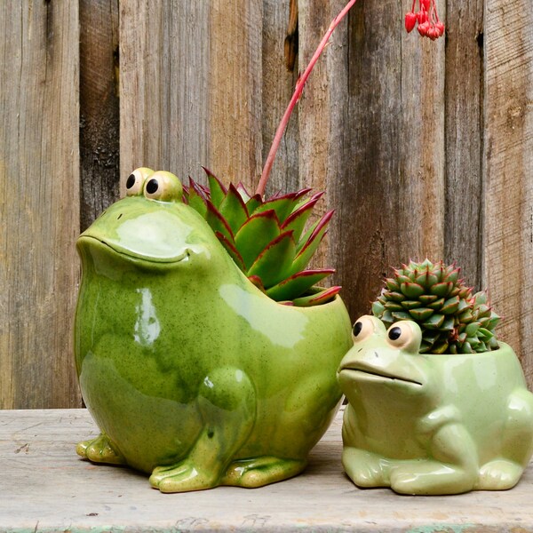 Ceramic Frog Planter - Etsy