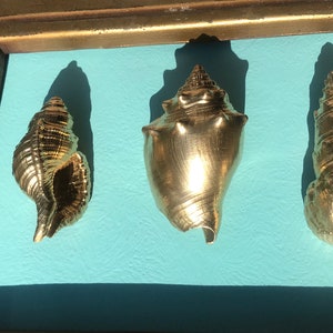 Vintage Gold Ornate Framed Genuine Gold Dipped Seashells Boho Chic ...