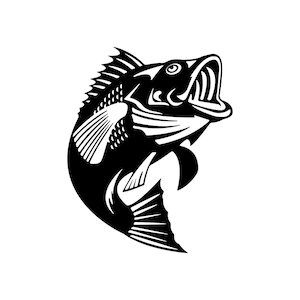 Large Fish Sticker Car Caravan Motorhome Camper Van Sticker Fishing ...