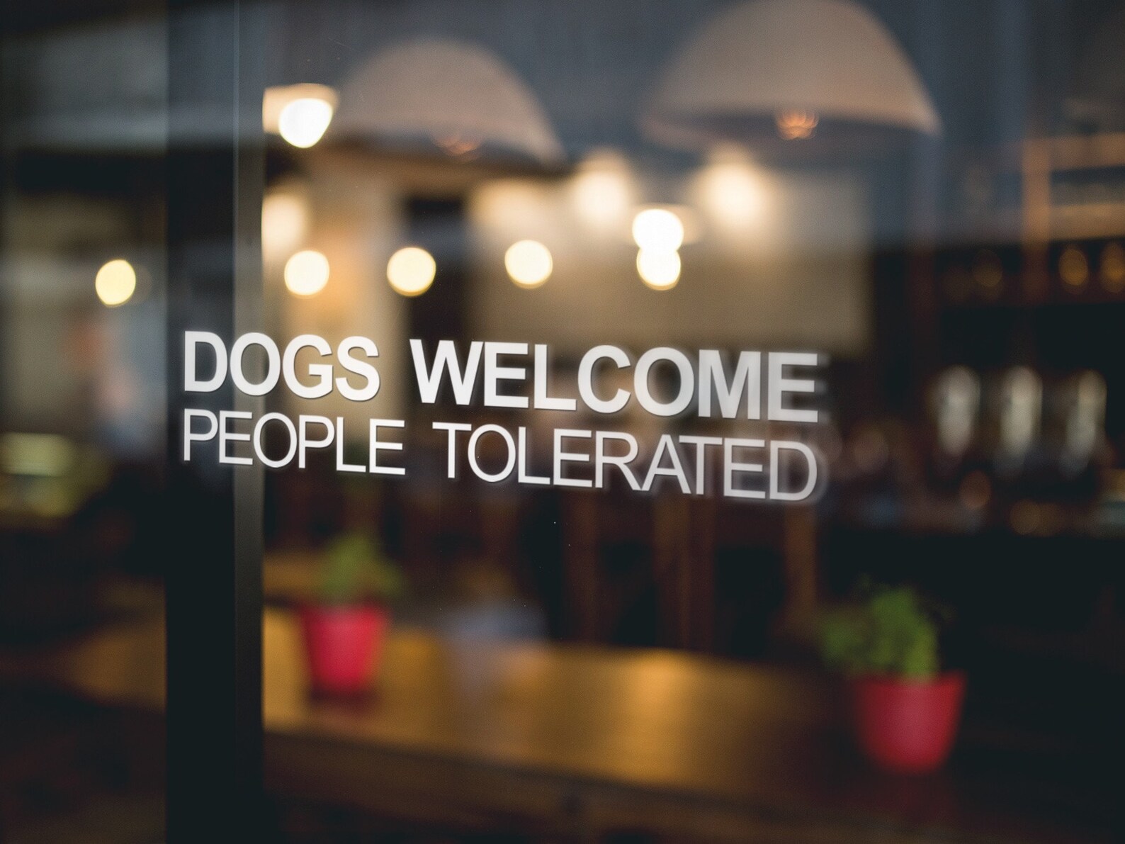 Dogs Welcome People Tolerated Window Sticker Pet Shop Home - Etsy