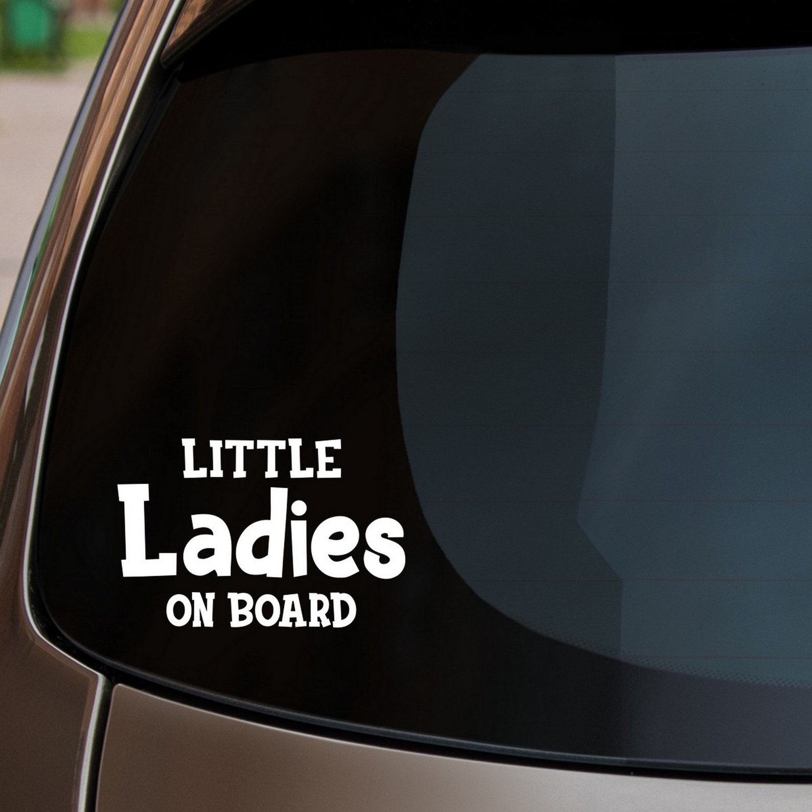 Little Ladies on Board Car Sticker Kids Baby Babies Children Fun Safety ...