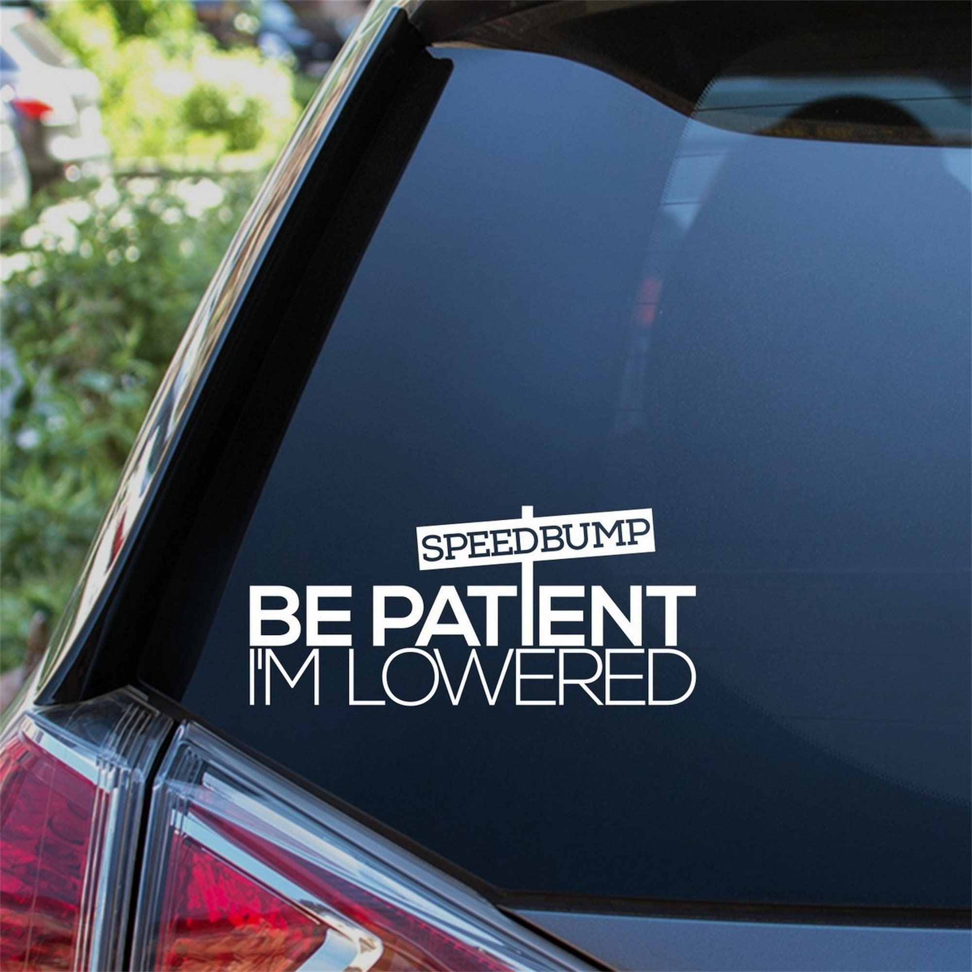 Lowered Expectations Bumper Stickers Car Stickers Custom Bumper