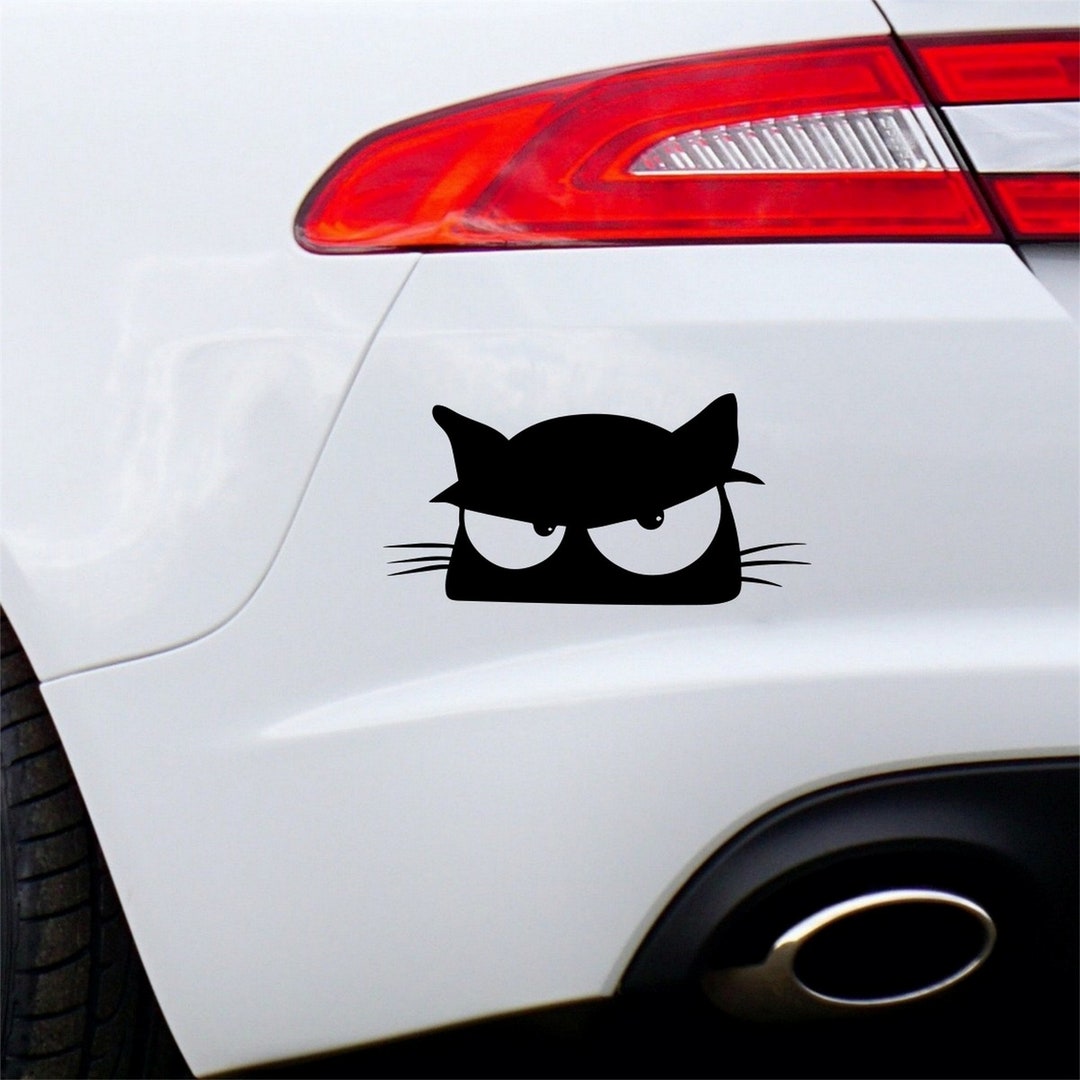 Funny Cat Sticker Angry Cat Sticker Funny Car Sticker - Etsy