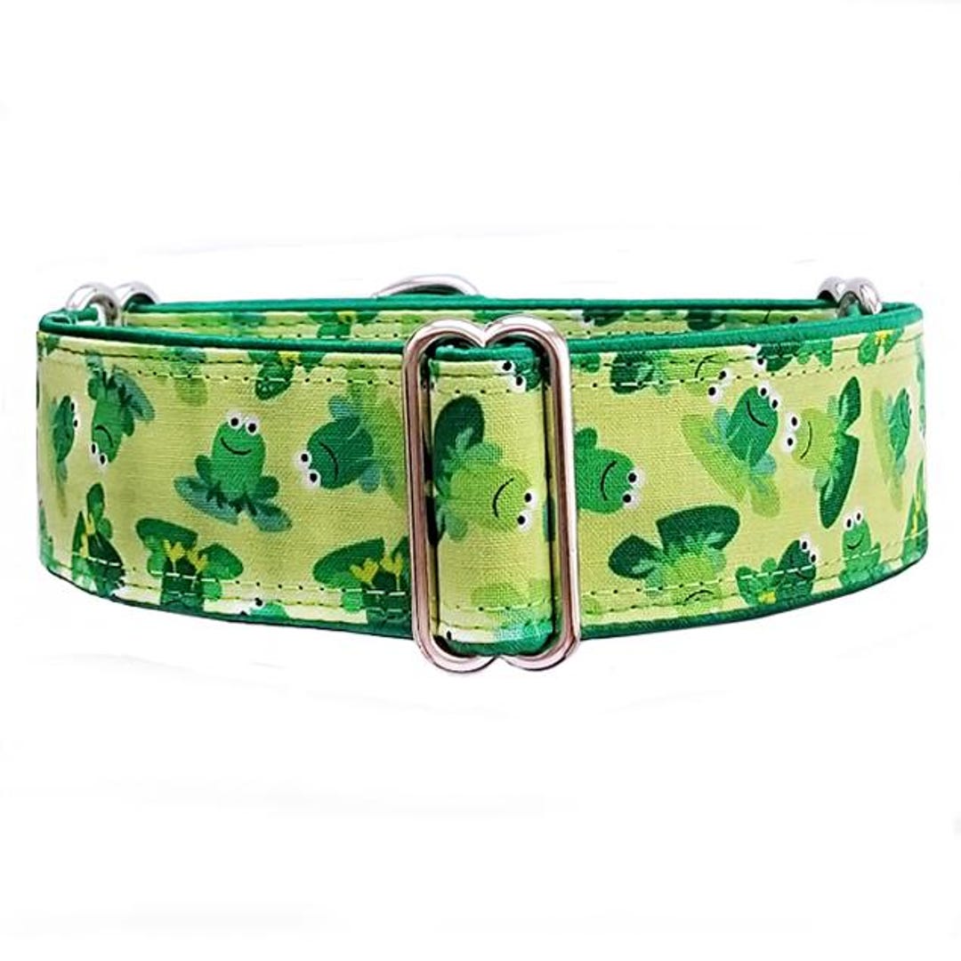 Green Frogs Martingale Dog Collar! Greyhound, Whippet, Sighthound All ...