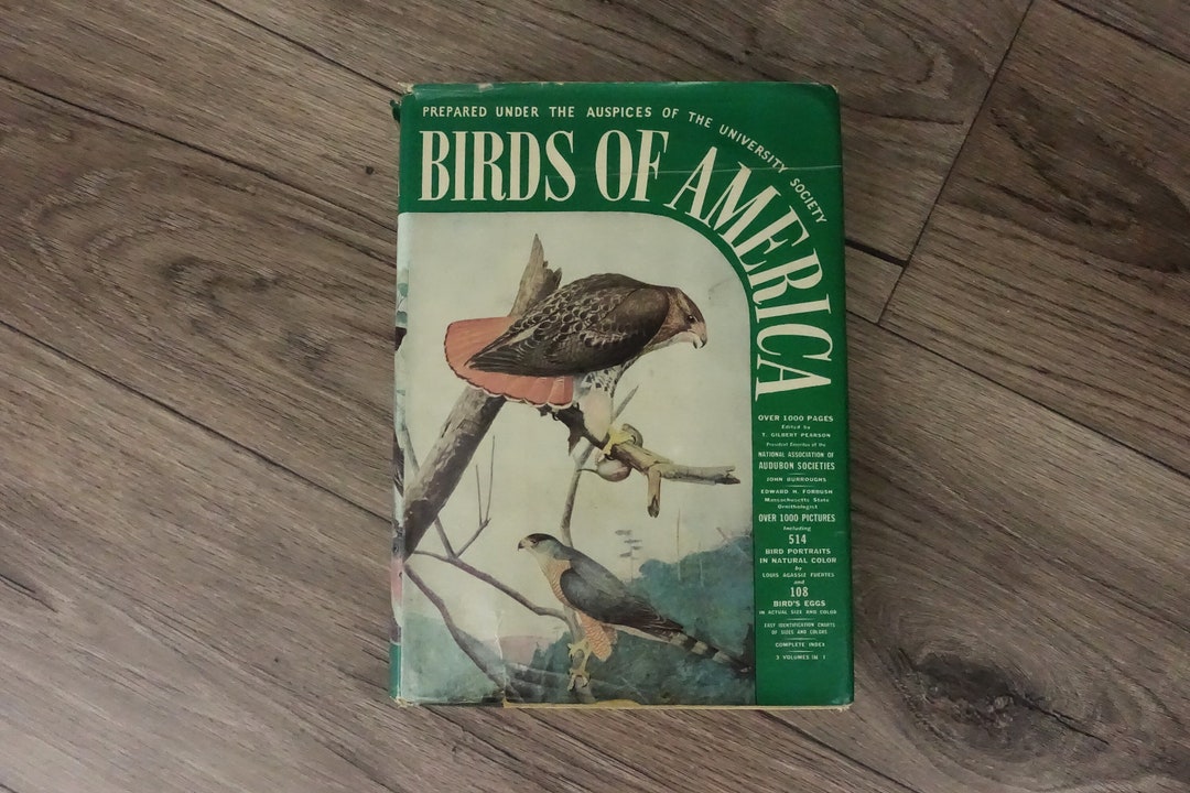 Birds of America T Gilbert Pearson Louis Agassiz Fuertes 1936 Bird ...