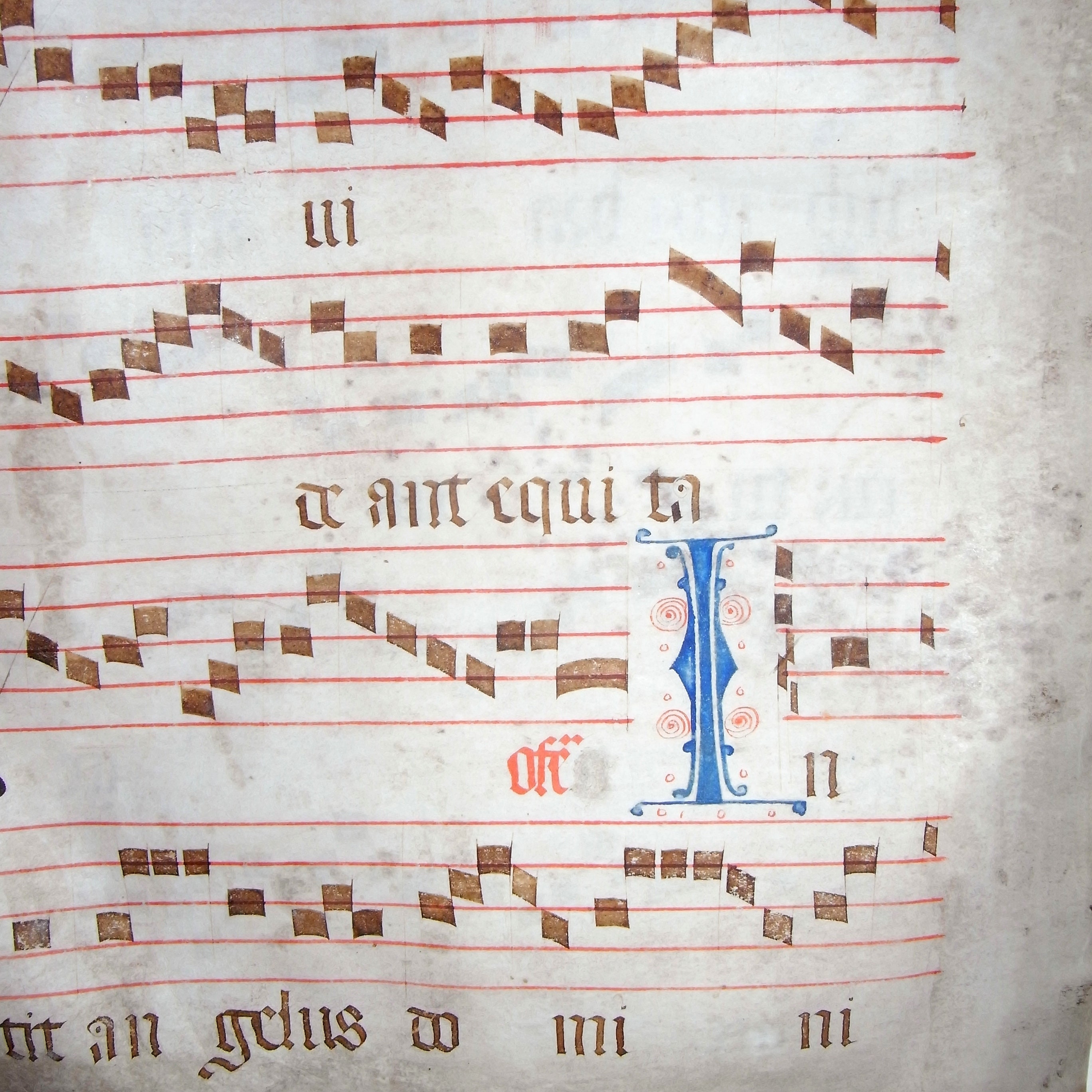 Medieval Vellum Antiphonarium Page W. Report Medieval Illuminated ...