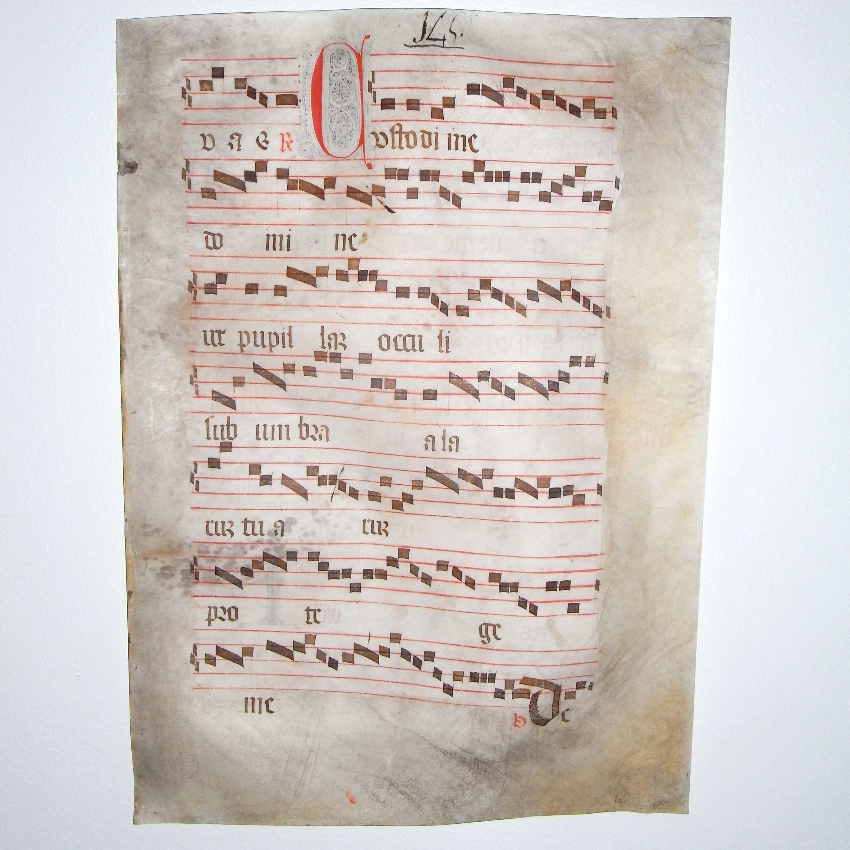 Gregorian Chant Manuscript