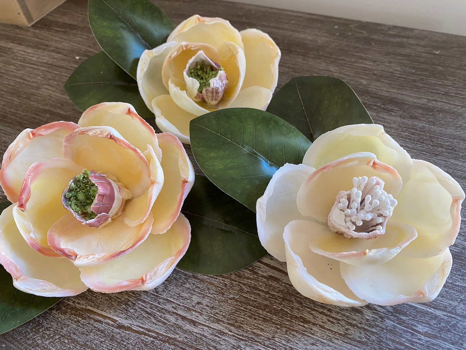 Hand Made Shell Magnolia Flower of Seashells - Etsy
