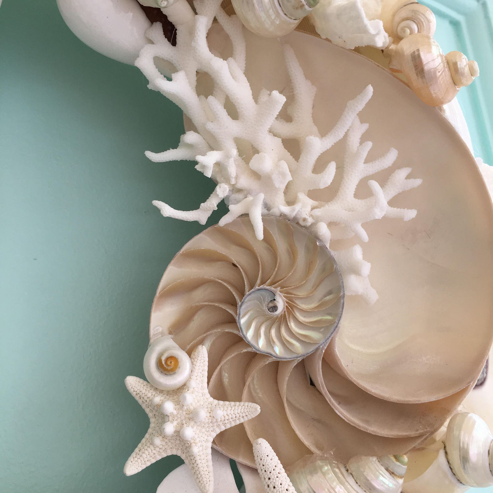 Beautifully designed Elegant Shades of White Seashell & Coral | Etsy