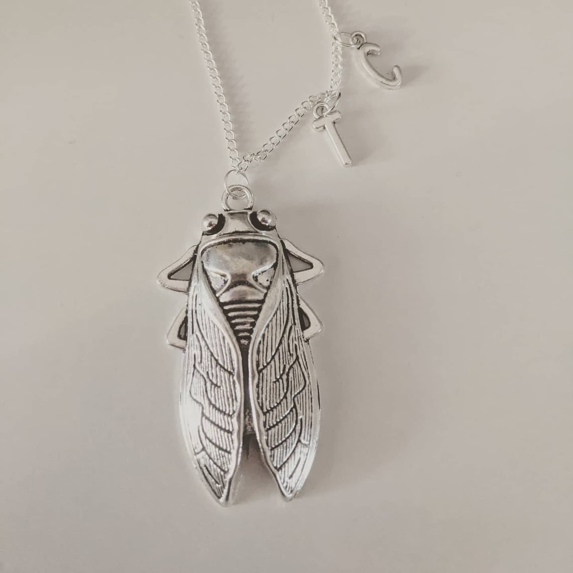 Cicada necklace Cicada jewellery Cicada lover gifts | Etsy