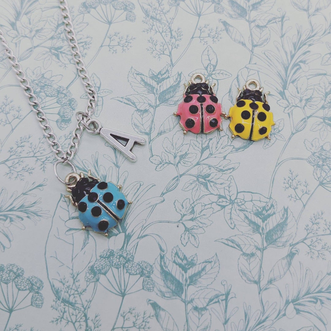 Ladybird Necklace, Ladybird Jewellery, Bug Jewellery, Insect Jewellery ...
