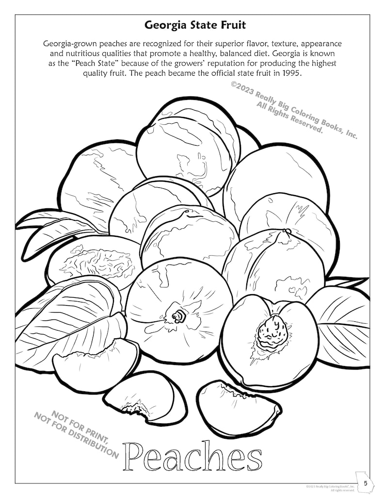 Georgia State Coloring Book 8.5 X 11 - Etsy