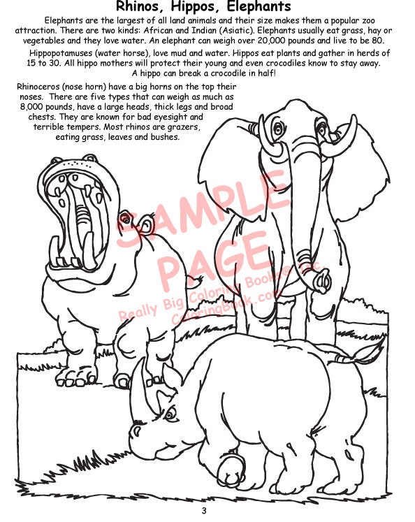 Music Zoo Coloring Book A Day at the Zoo Power Panel Coloring Book With ...