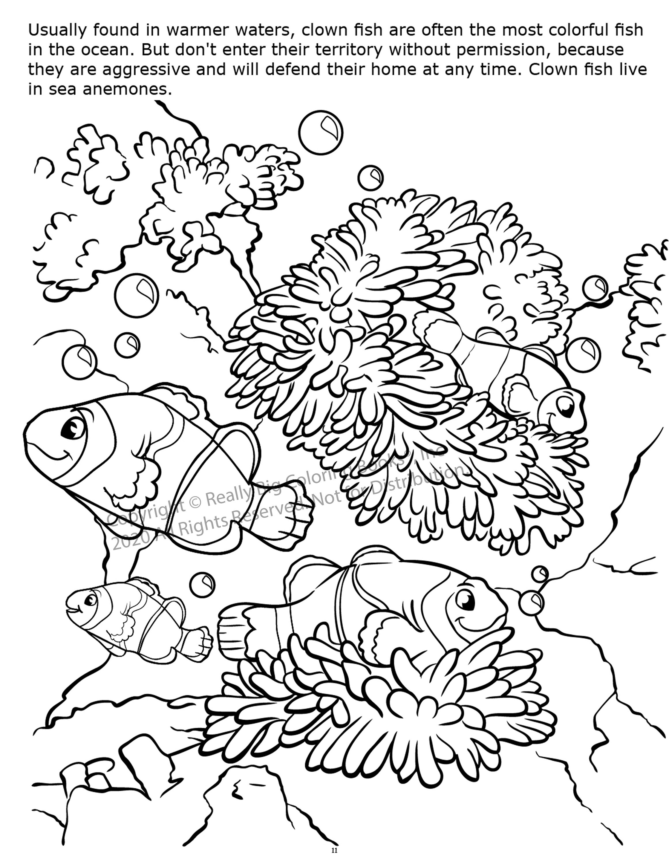 Underwater Adventures Coloring Book 17x22 - Etsy