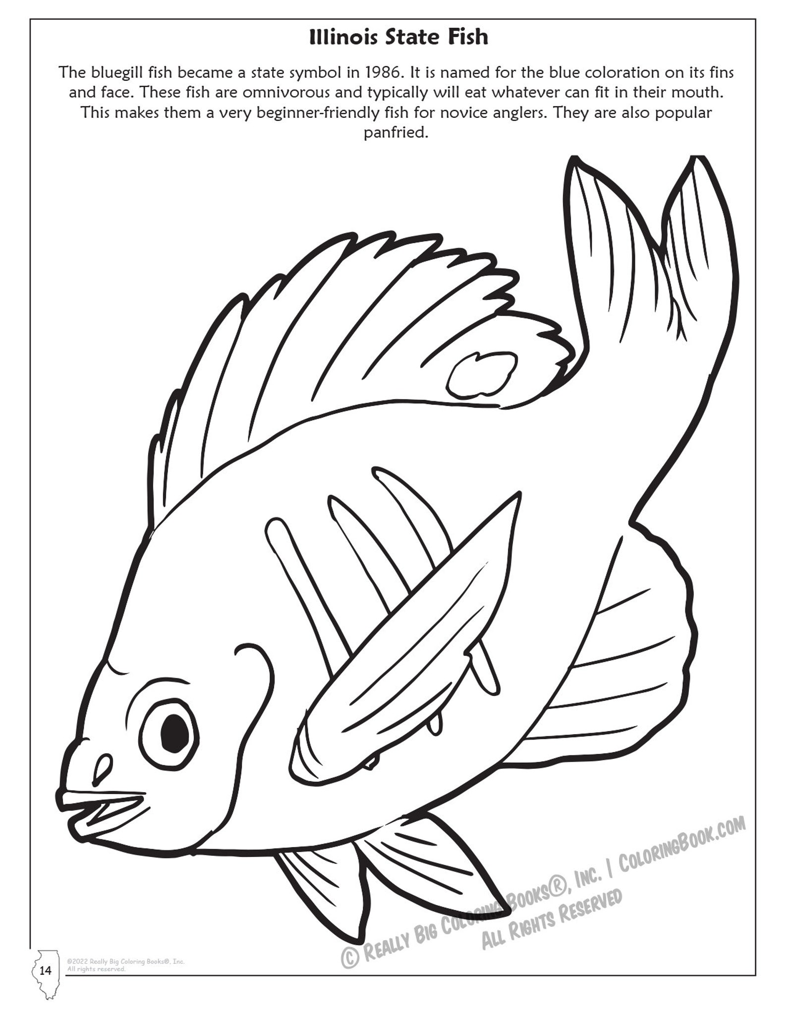 Illinois State Coloring Book 8.5 X 11 - Illinois Coloring Book ...