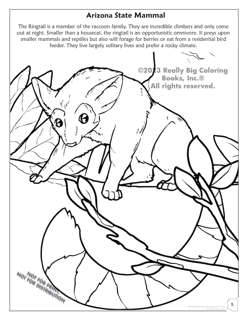 Arizona State Coloring Book - Etsy