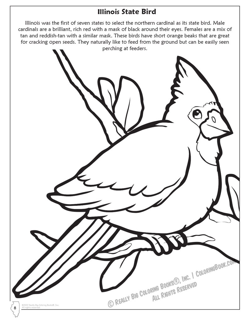 Illinois State Coloring Book 8.5 X 11 - Illinois Coloring Book ...