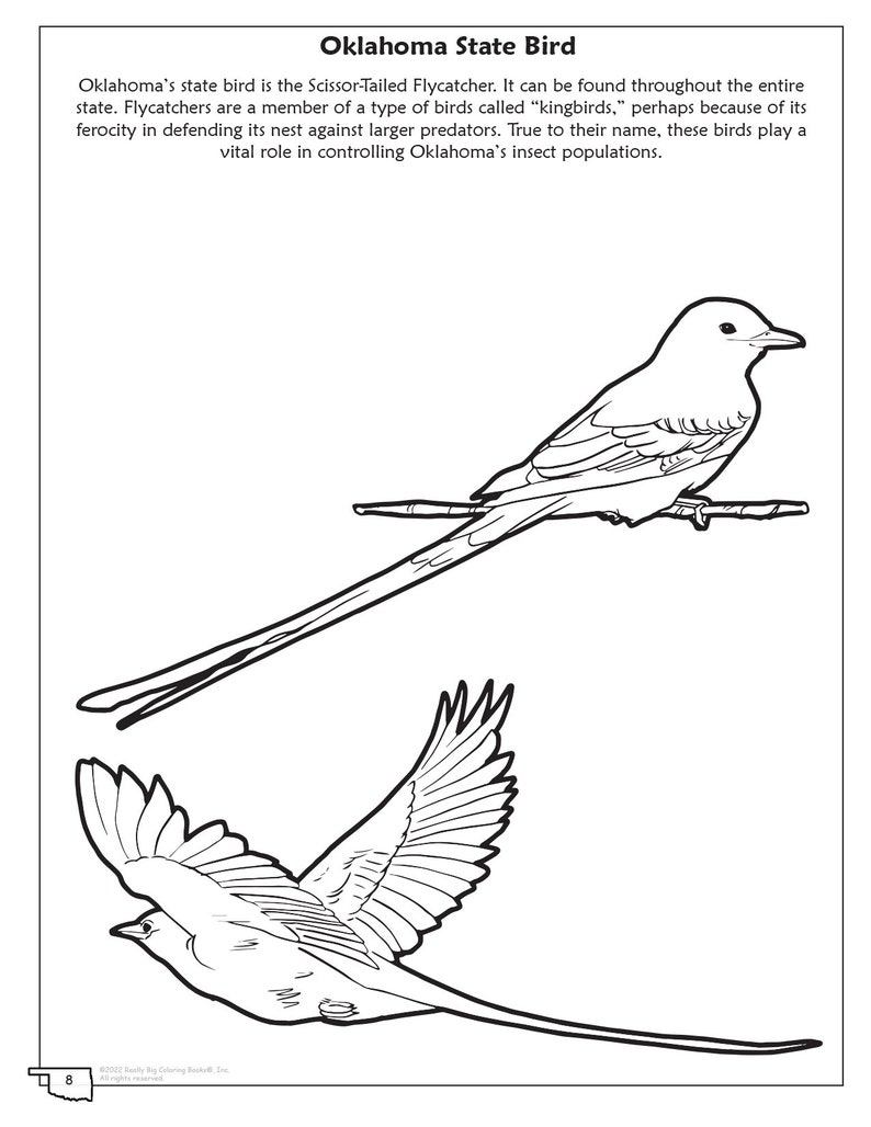 Oklahoma State Coloring Book 8.5 X 11 - Oklahoma Coloring Book ...